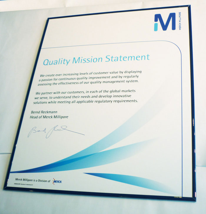 PVC FRAME CAPPING from $15.0 | Fast SG Delivery